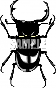 Royalty Free Bug Clipart