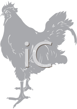 Royalty Free Chicken Clipart